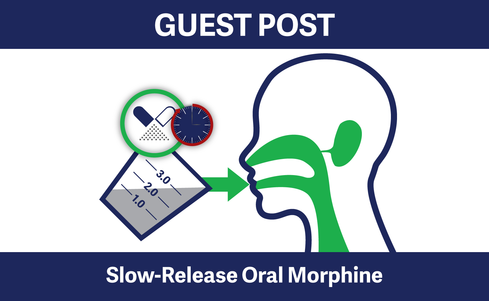 Guest Post: Slow-Release Oral Morphine for Opioid Agonist Treatment ...